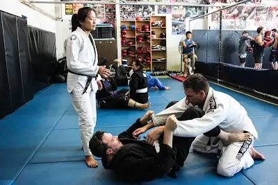 Auckland MMA - BJJ Gym | Schedule, Reviews & Contact