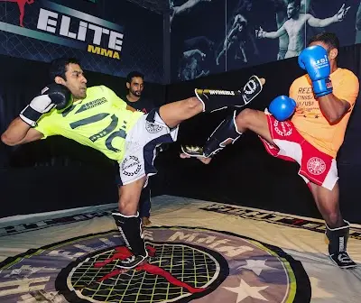 Fight Elite Mma - BJJ Gym | Schedule, Reviews & Contact