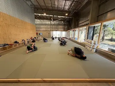 Shape Jiu Jitsu - BJJ Gym | Schedule, Reviews & Contact