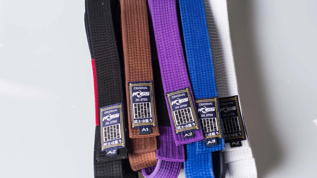 Brazilian Jiu-Jitsu Belt System: A Complete Guide from White to Red